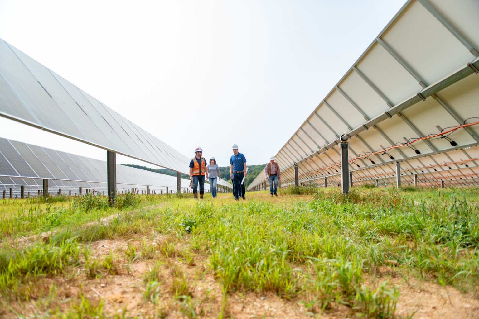 Accelerate: Clean Energy Insight | Apex Clean Energy