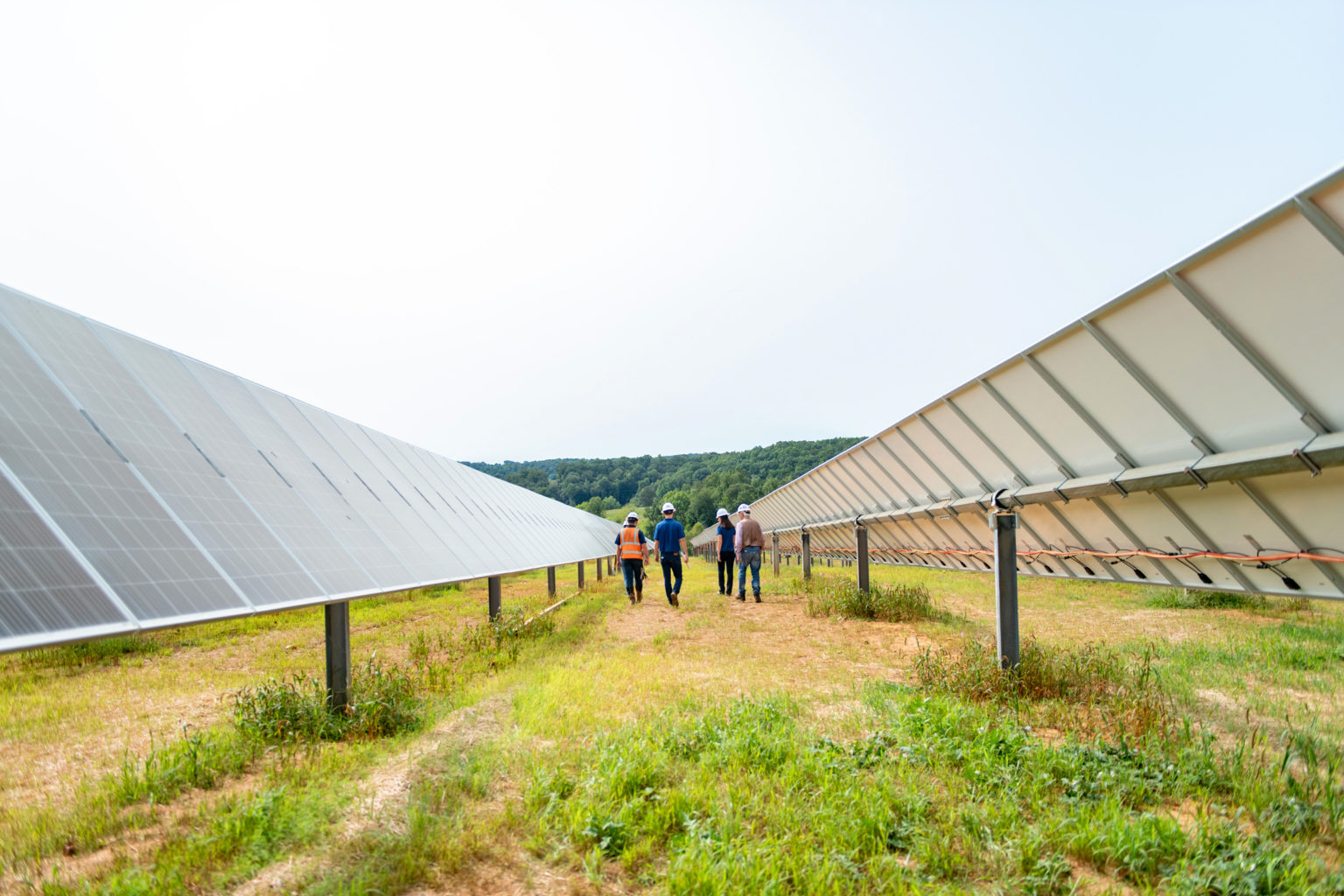 Jobs in Renewable Energy | Apex Clean Energy