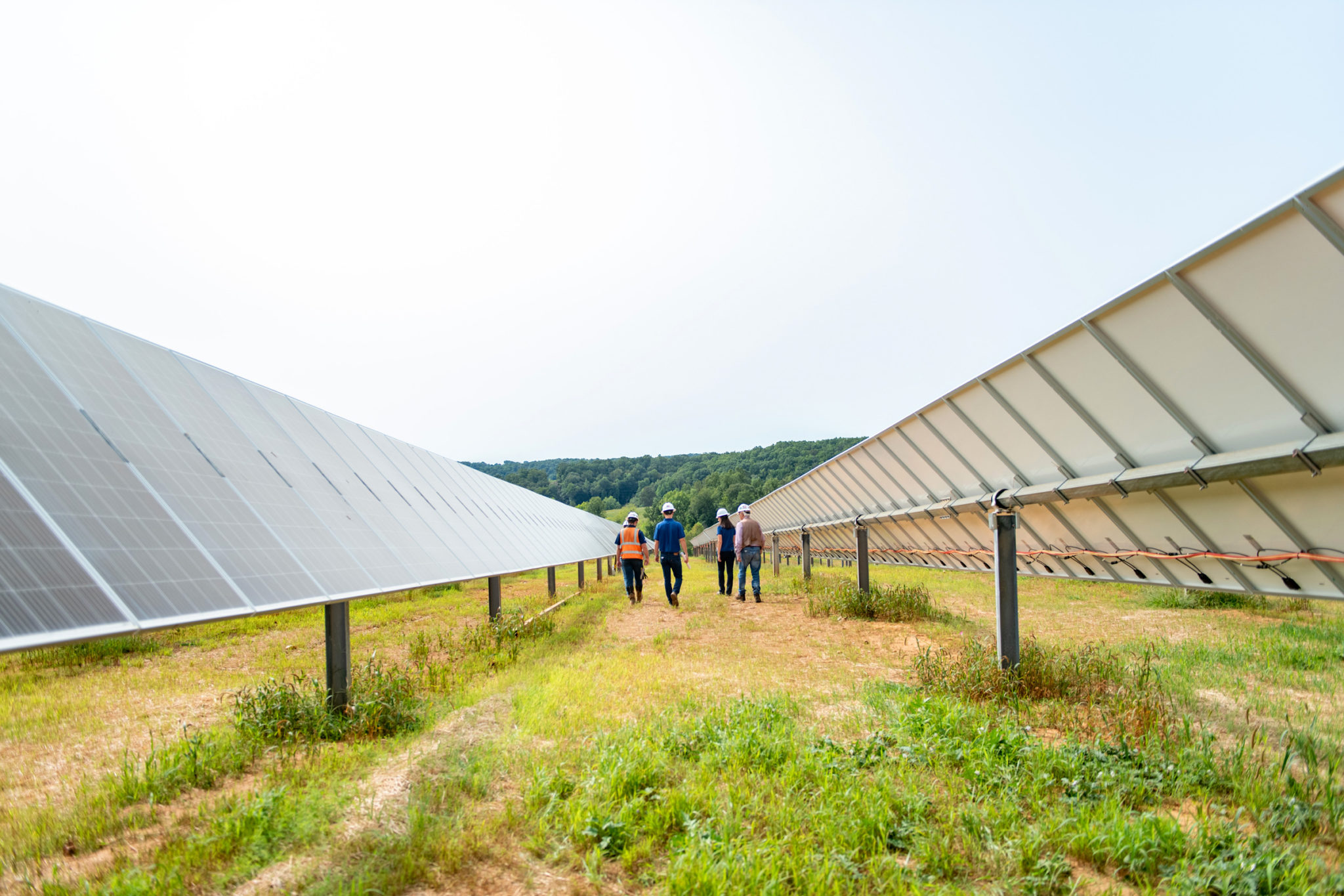 Jobs in Renewable Energy | Apex Clean Energy