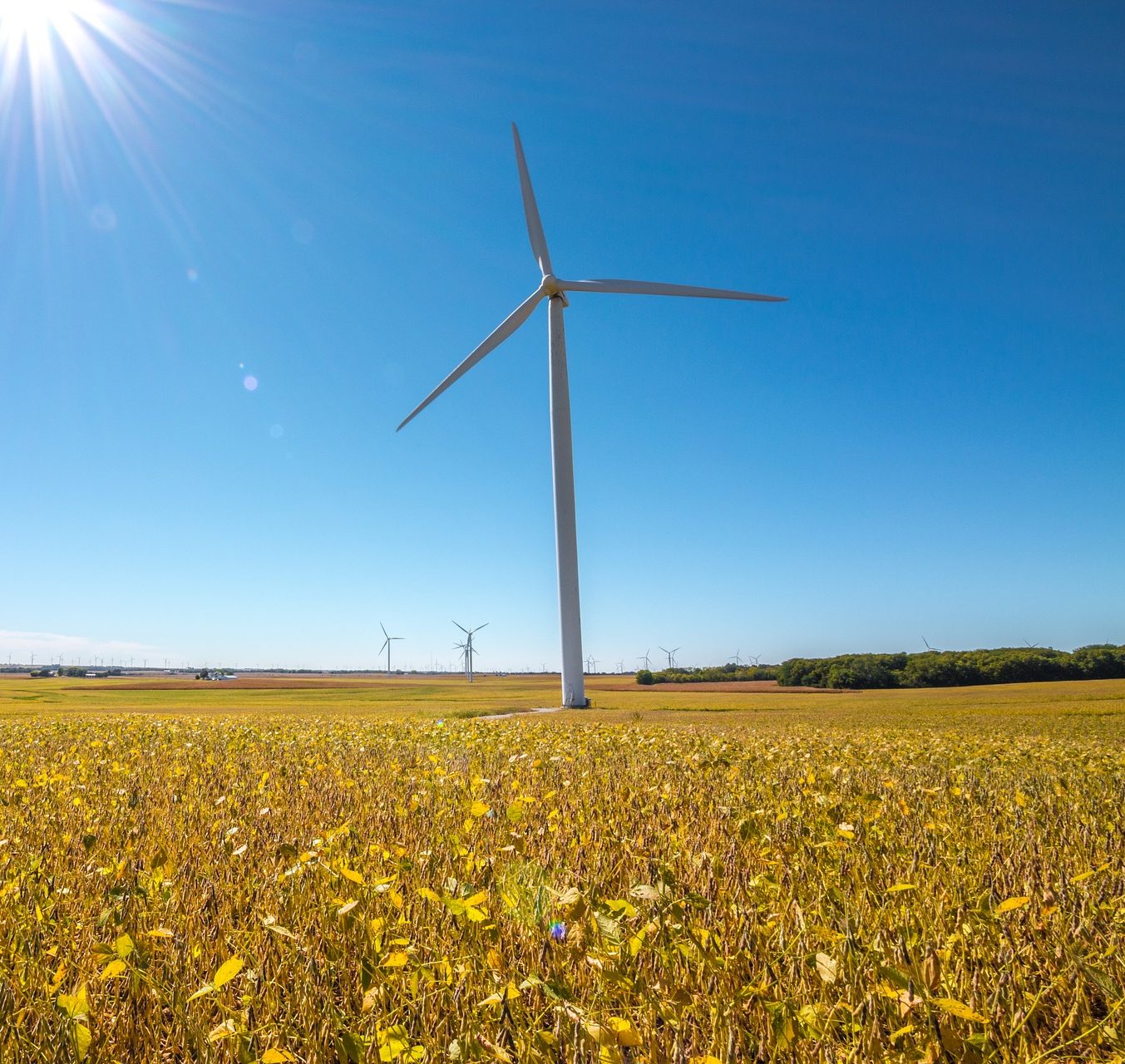 Ohio's Clean Energy Crossroads | Apex Clean Energy