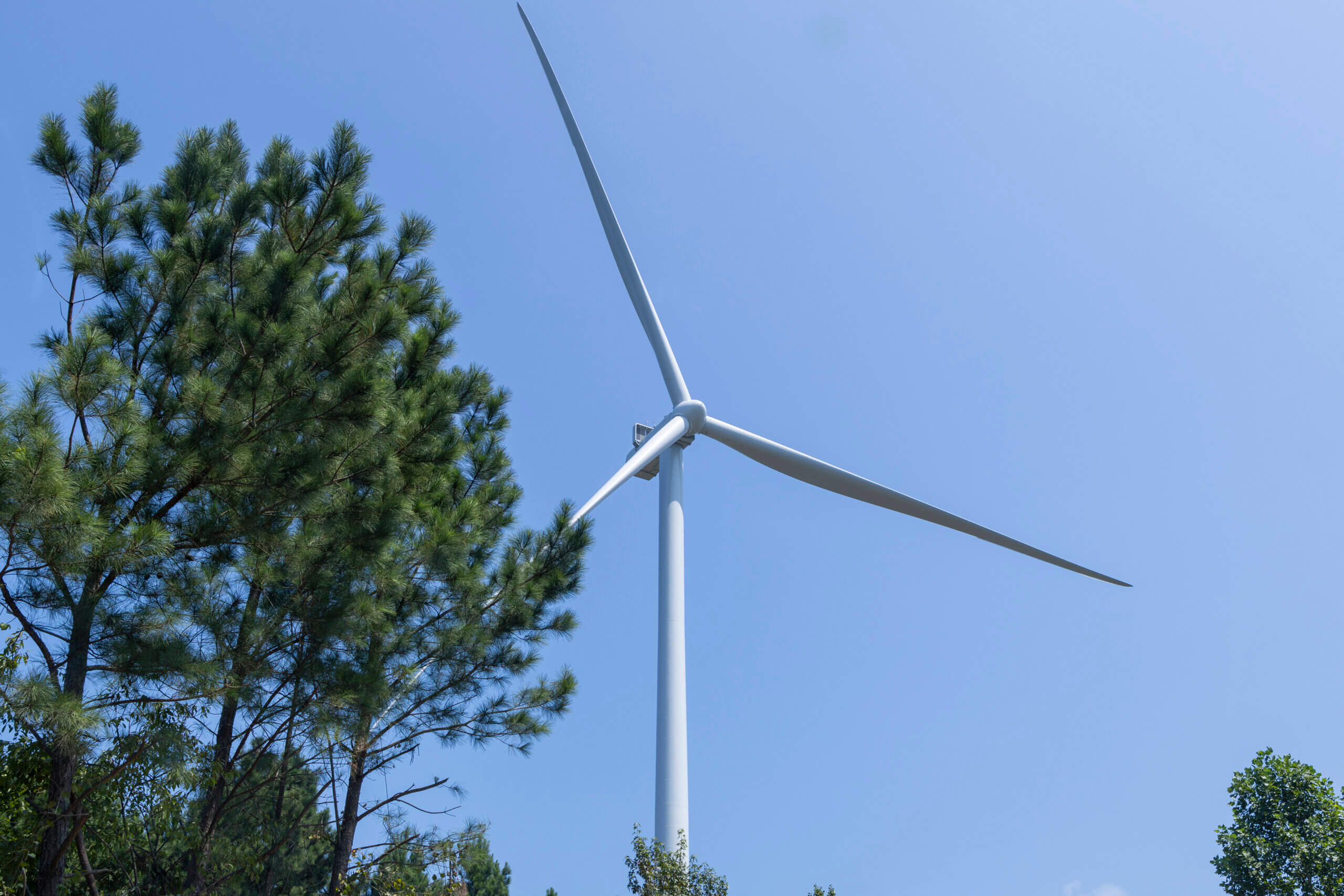 Google and Apex Collaborate on Virginia’s First Onshore Wind Farm | Apex Clean Energy
